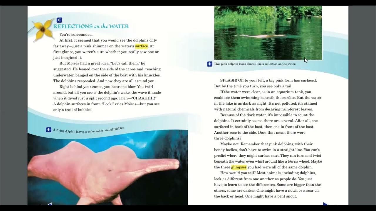 Encantado Dolphin of the Amazon | Reading Street | Part 2 - YouTube