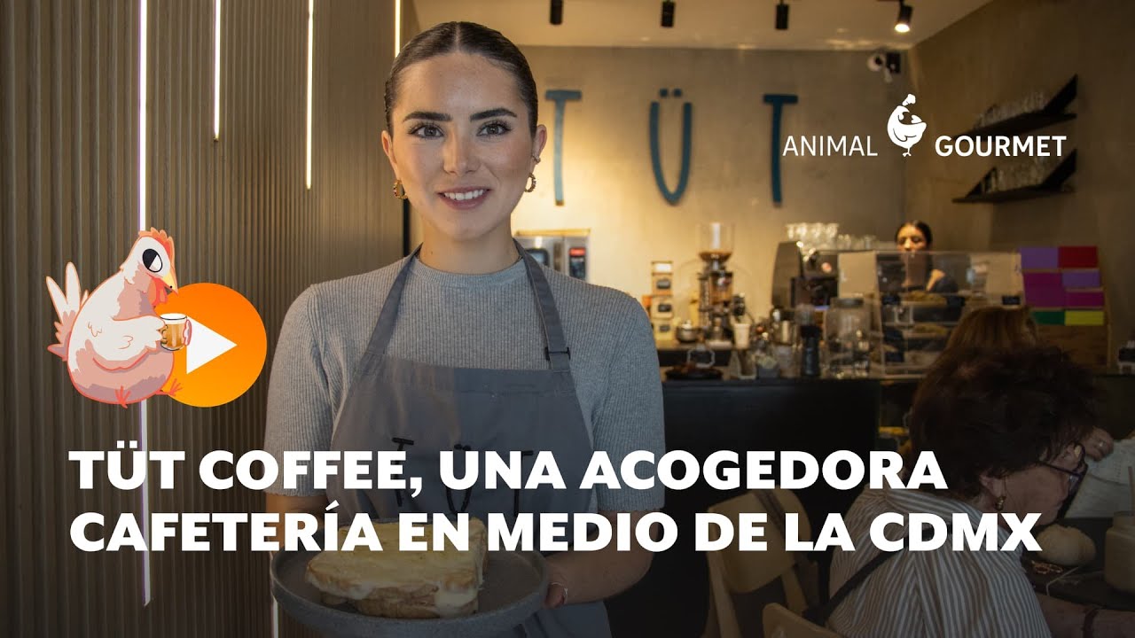 Tüt Coffee: La cafetería que debes conocer en CDMX - YouTube
