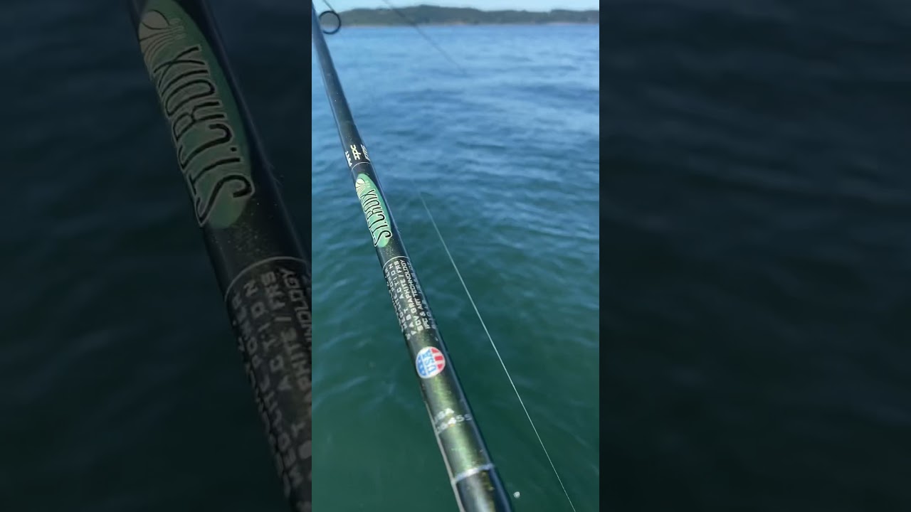 Dash Point salmons fishing. - YouTube