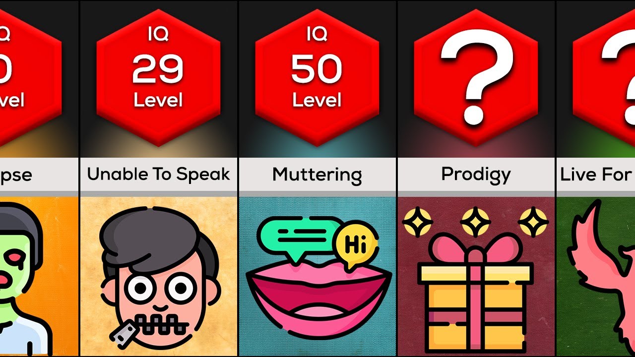 Comparison: You At Different IQ Levels - YouTube