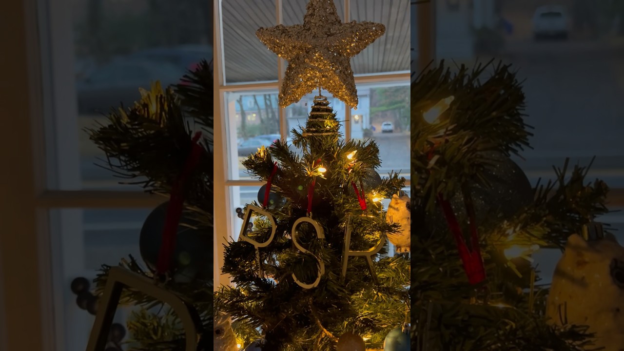 First Realsophy Real Estate Christmas Tree #christmas #tree - YouTube