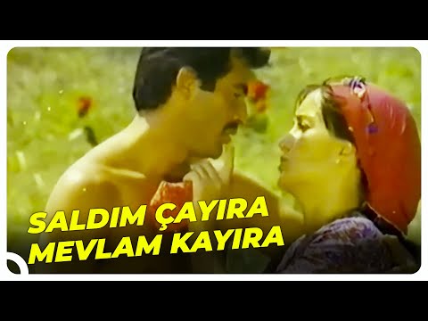 Pınar ile Bora, Yer Yurt Tanımıyor | Sen Aşk Nedir Bilir Misin?