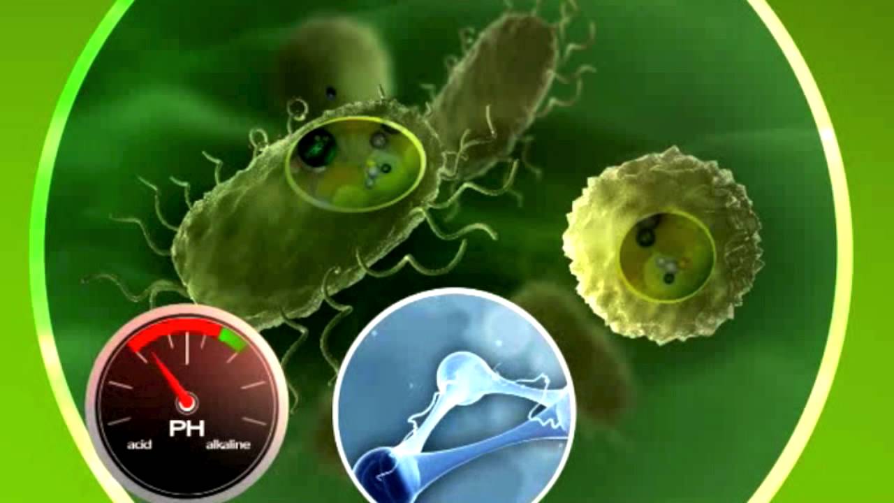 Procidic by Greenspire Global Inc. - YouTube