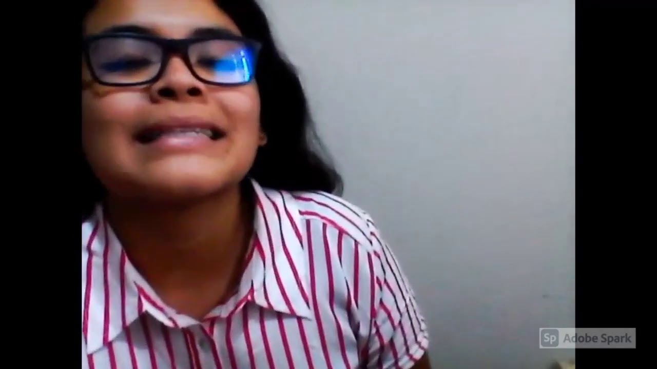 ESTILOS DE APRENDIZAJE - GÁLVEZ MIRANDA BRITNEY ANTONELA - YouTube