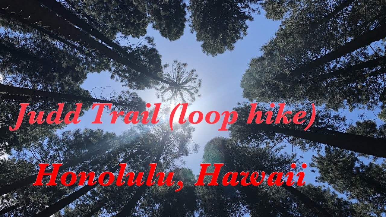 Judd trail Hike, Honolulu Hawaii #datehike2020 - YouTube
