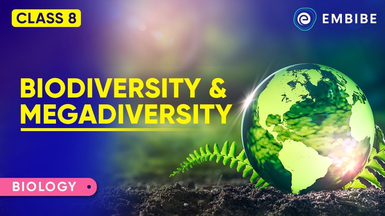 Biodiversity And Megadiversity | Biology | Class 8 | Embibe: Achieve ...