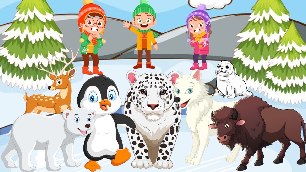 Polar animals | snow animals for kids | Arctic animals | north pole ...