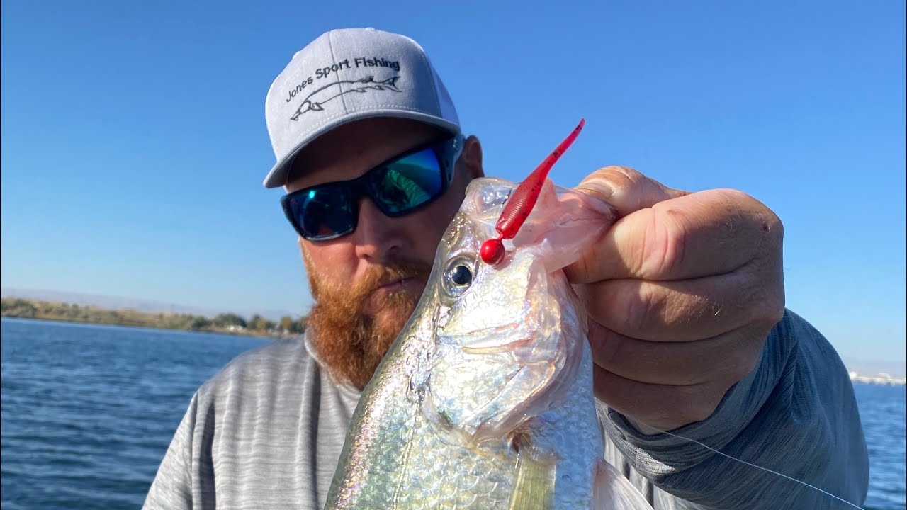 CJ Strike Crappie Fishing Update 10/18/22: The Fall bite is getting ...