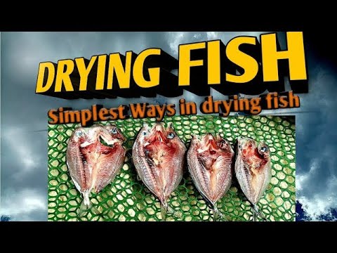 Drying of Fish: Prof. Mandal PK - YouTube