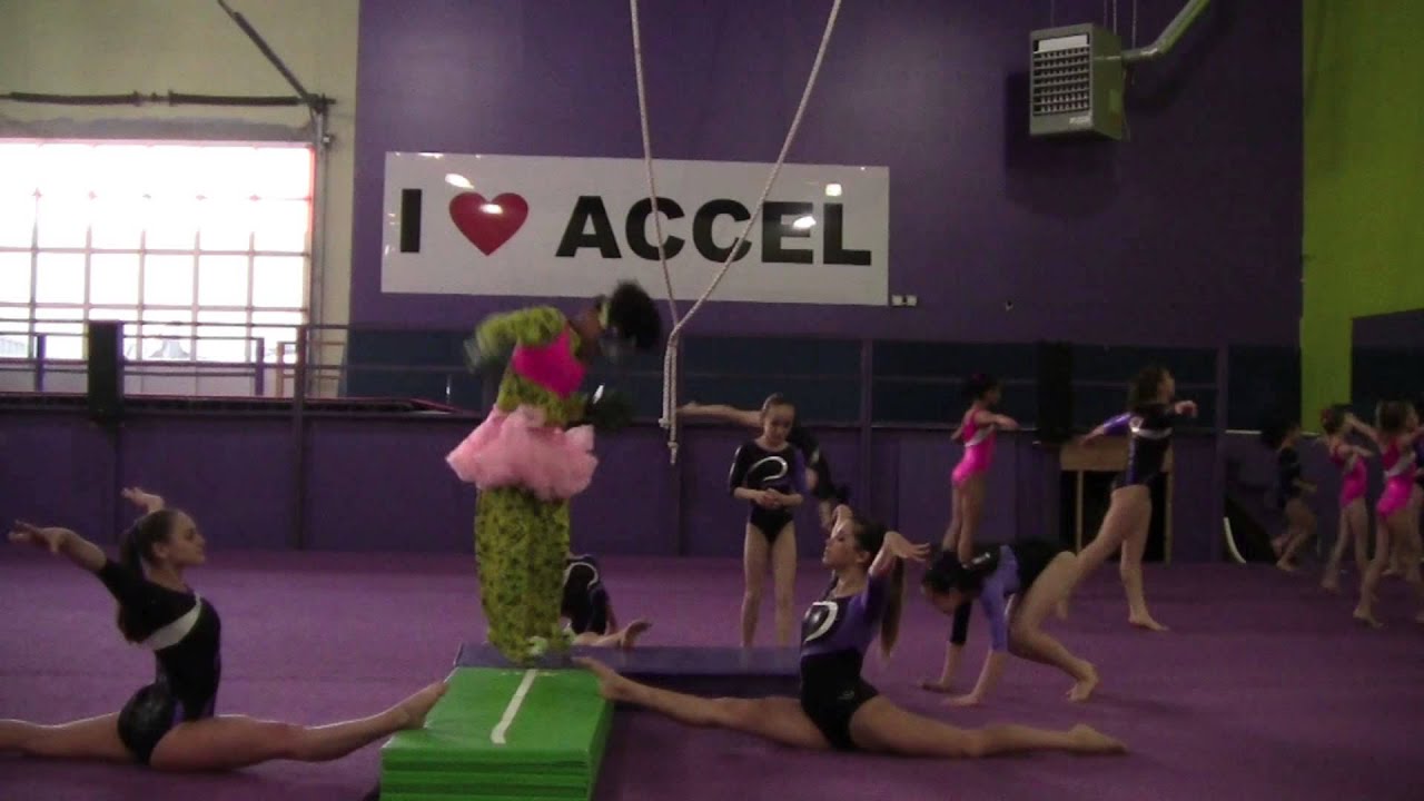 Harlem Shake Accel Gymnastics Style! - YouTube