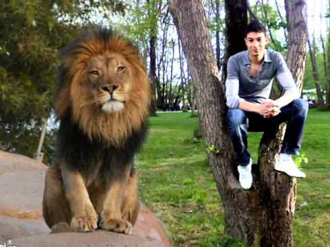 Adi sybardhi & Bert sula orkestrale 2013 NEW - YouTube