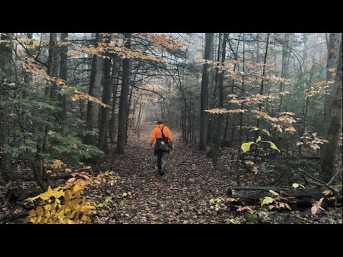 ADIRONDACK PUBLIC LAND DEER HUNT | Episode 1 - YouTube
