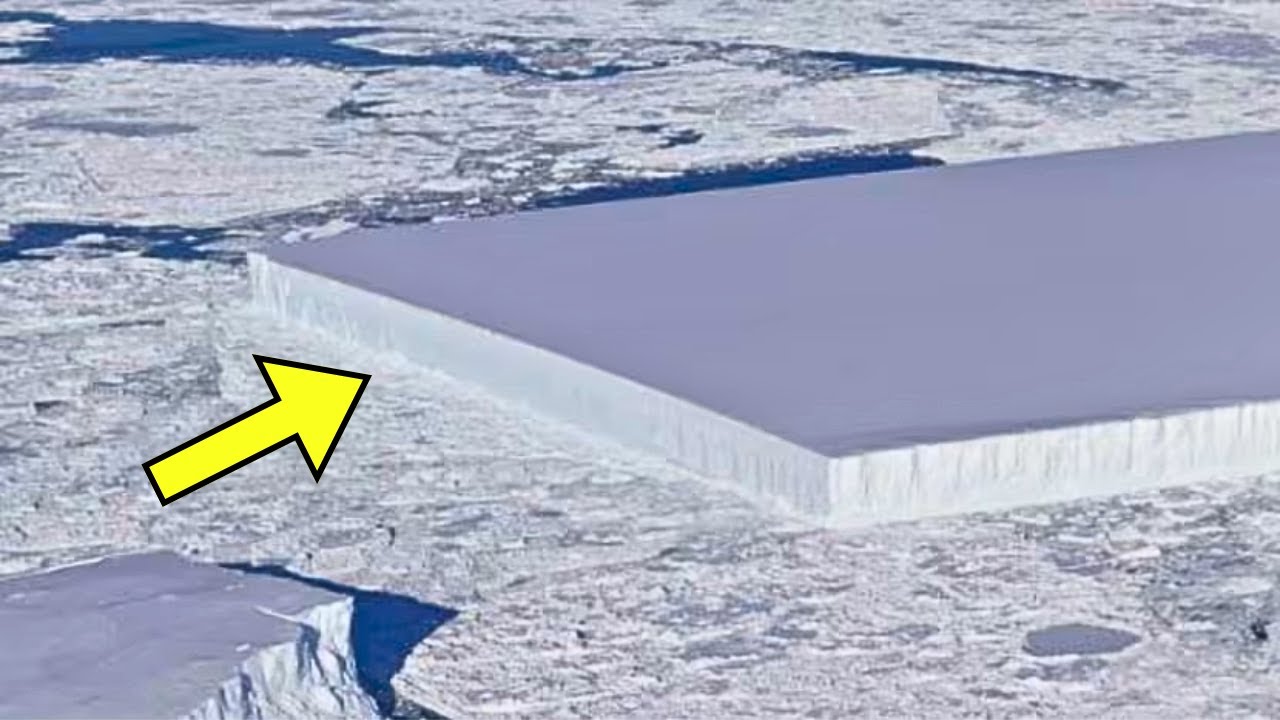 Scientists Discover Bizarre Shaped Iceberg. When They Realize What Is ...
