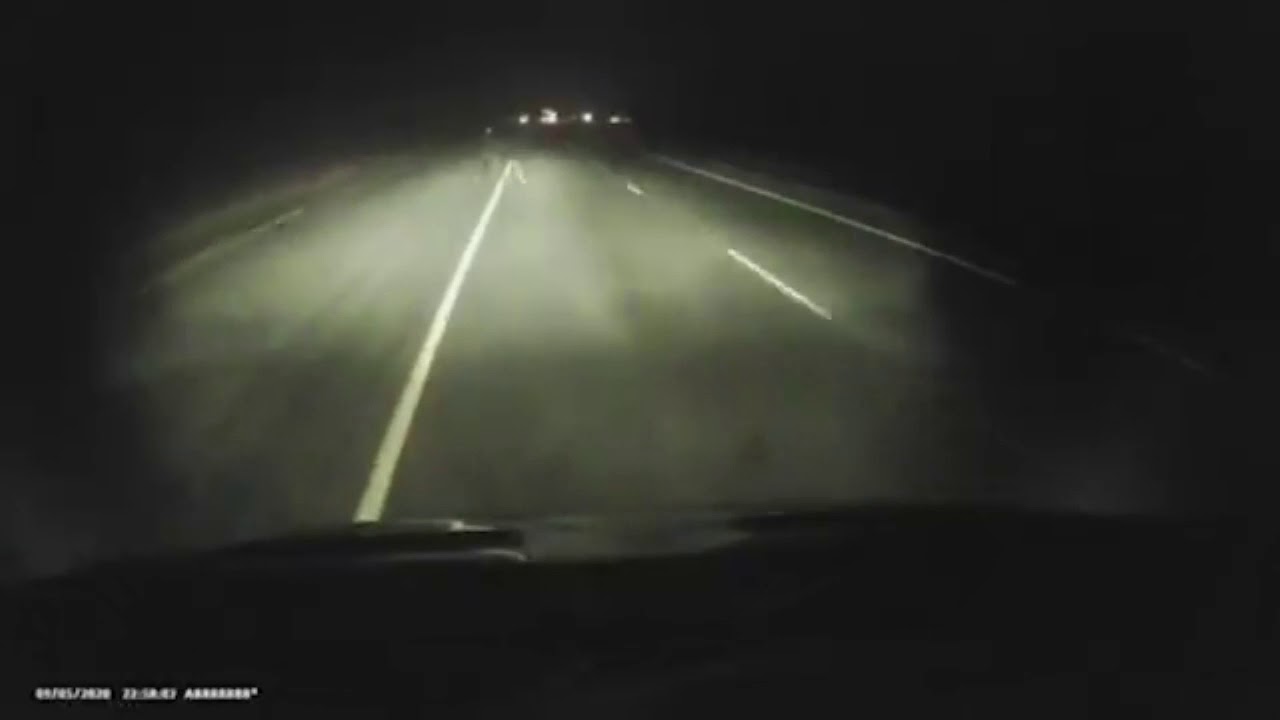 Car Vs Elk * Car Crash with Elk * Vehicle collision with Elk - YouTube