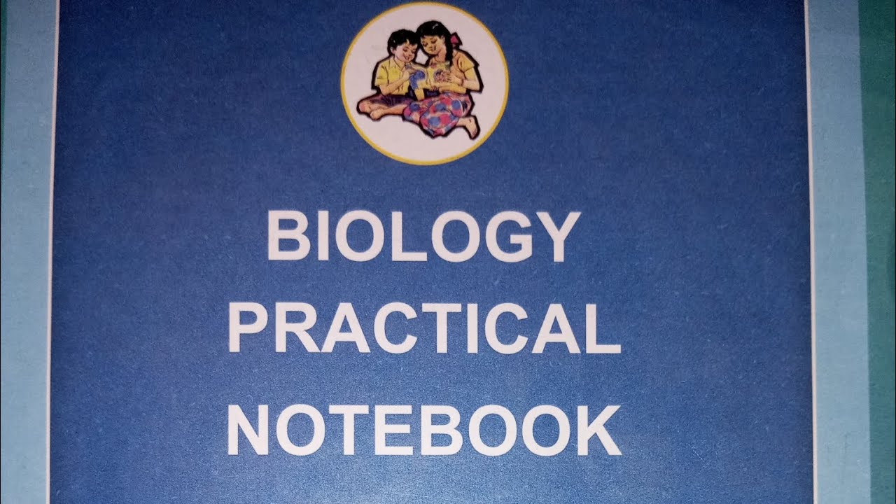 Class11.Biology Practical Number5:To prepare temporary stained slides ...