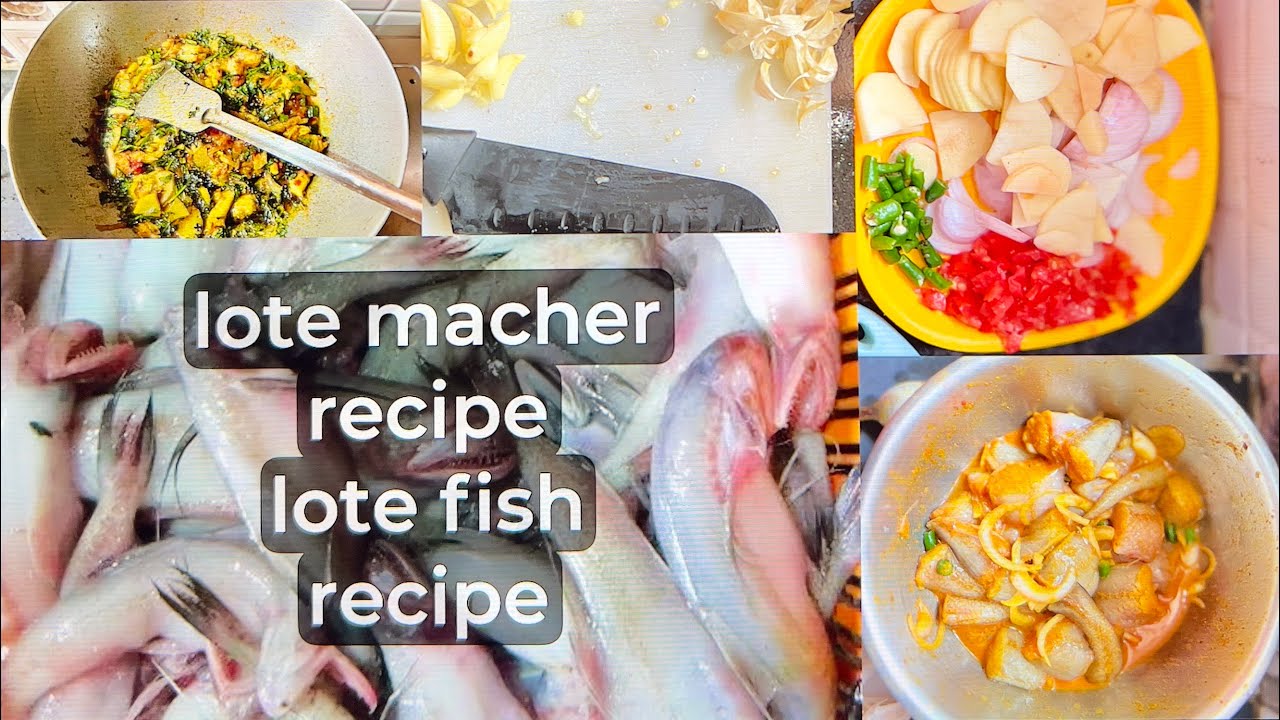 lote macher recipe | lote fish recipe | bengali ranna banna | bengali ...
