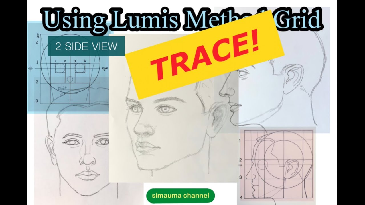 Using Loomis Method Guid 2 / Side View - YouTube
