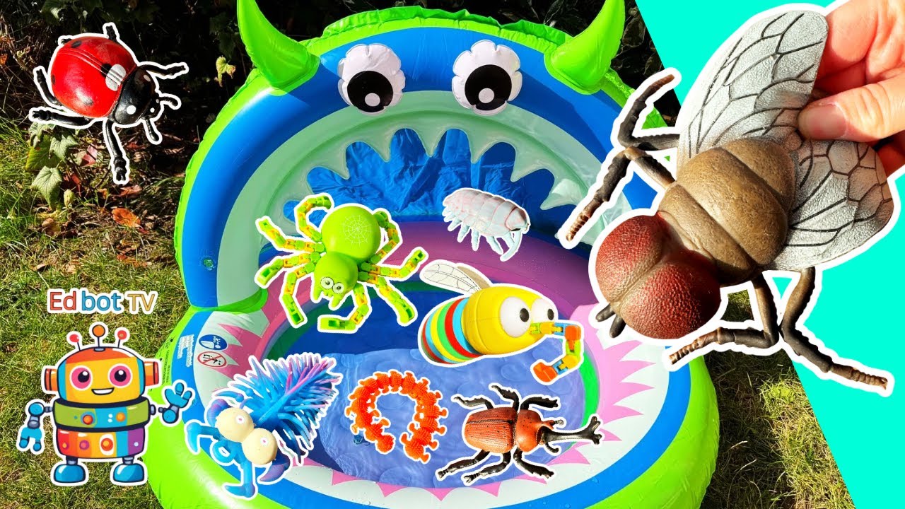Learn Bug Insect Names for Babies Kids at the Monster Pool: Fly Spider ...