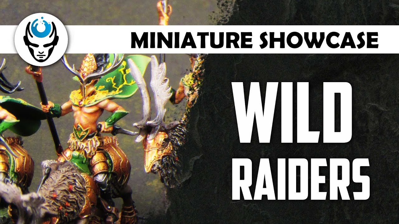 WILD RAIDERS MINIATURE LEVEL 3 - DEN OF IMAGINATION - YouTube