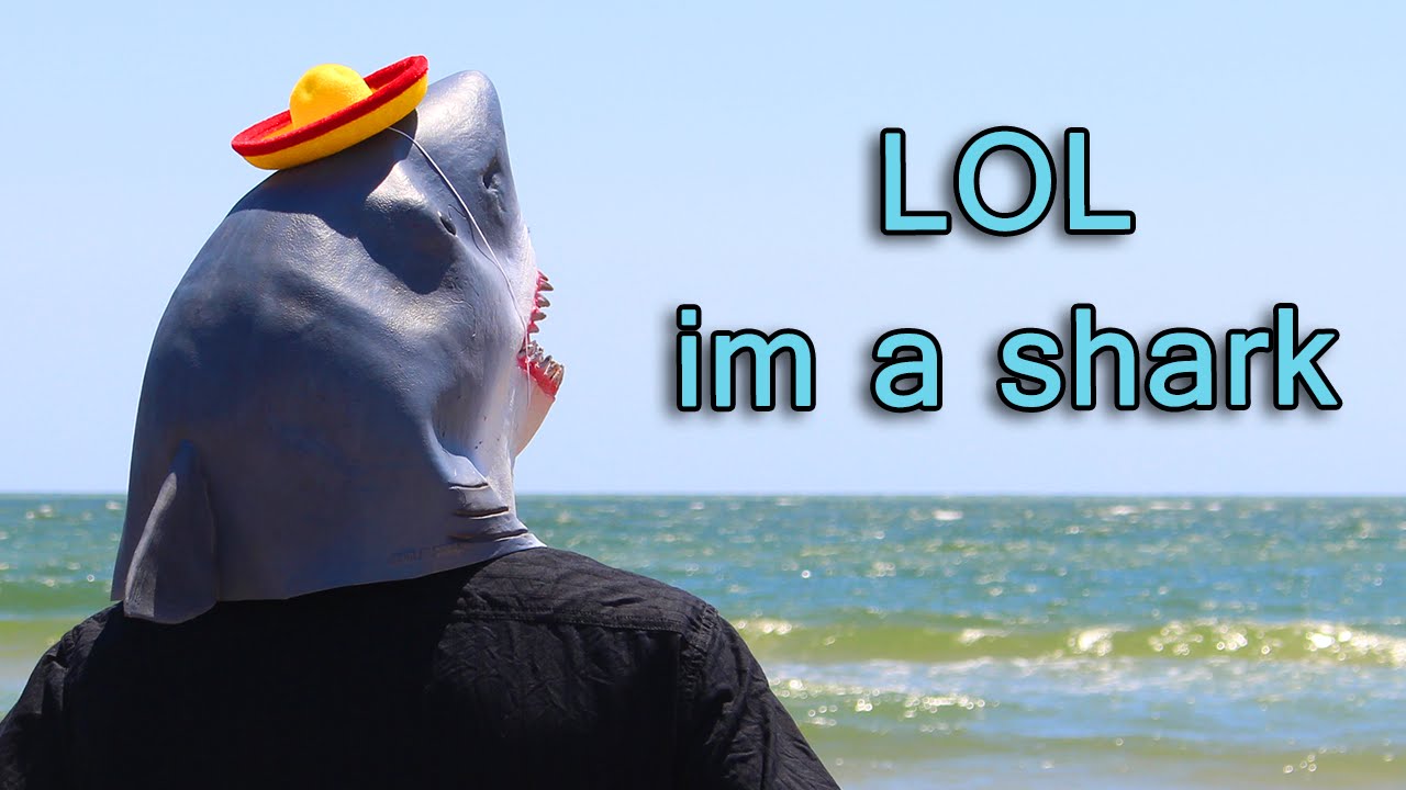 A Shark Named Gilbert - YouTube