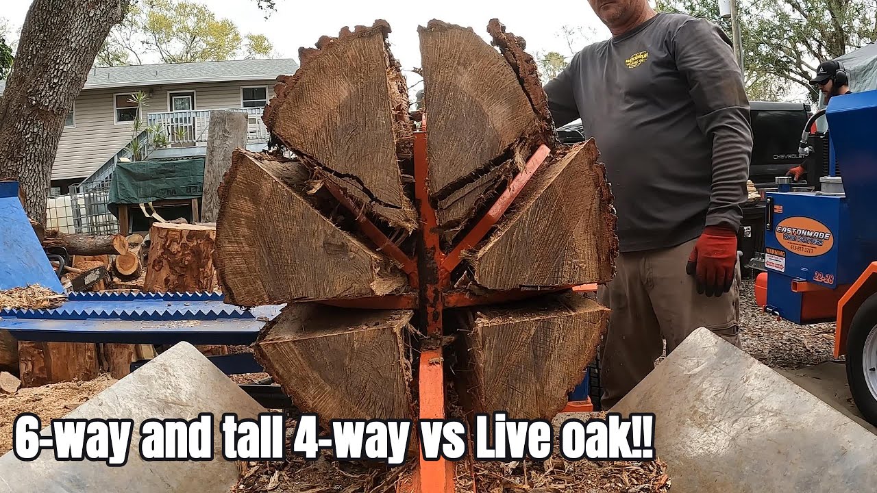 Cutting and splitting Live oak with 37D and 22-28! - YouTube