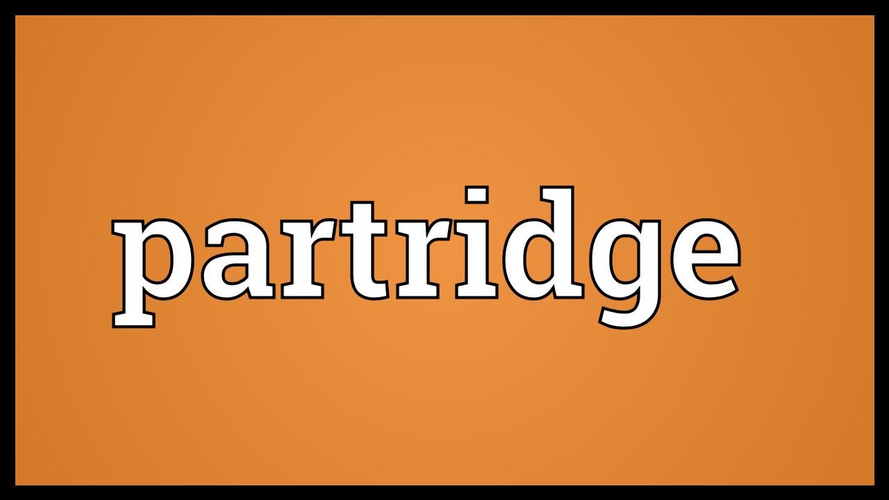 Partridge Meaning - YouTube