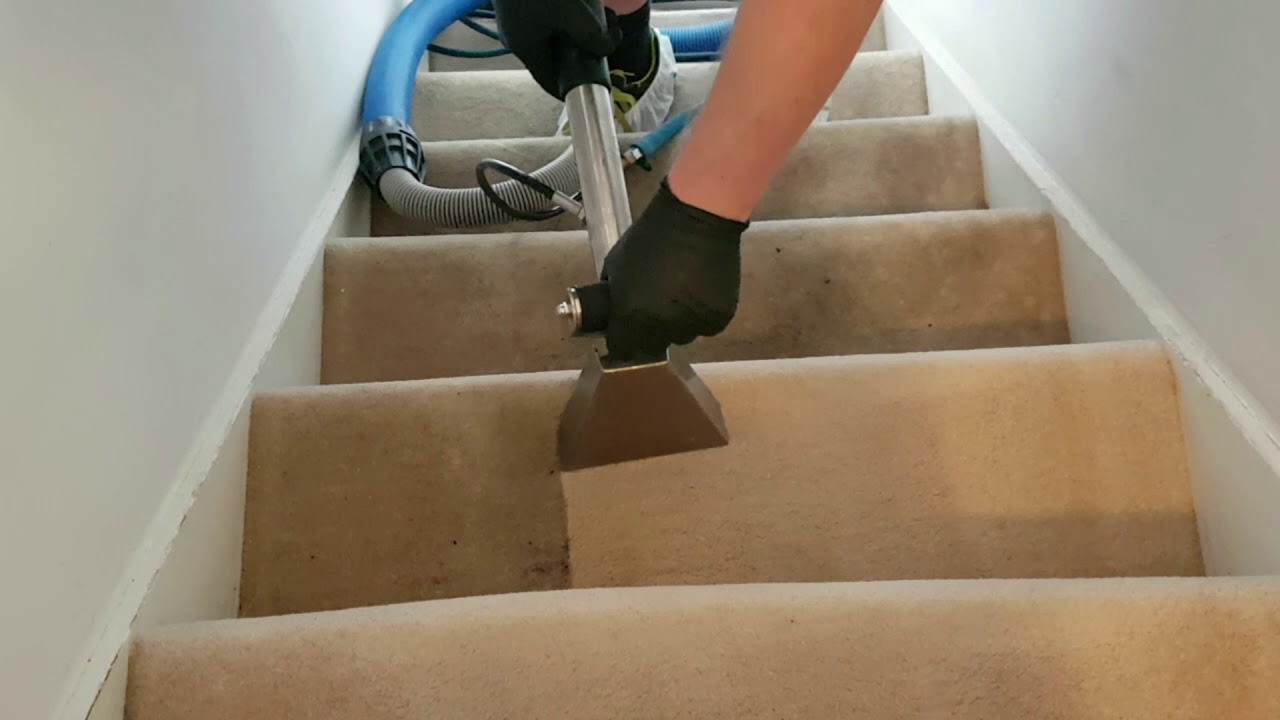 Raf's Cleaning Service Ltd Manchester steam carpet cleaning - YouTube