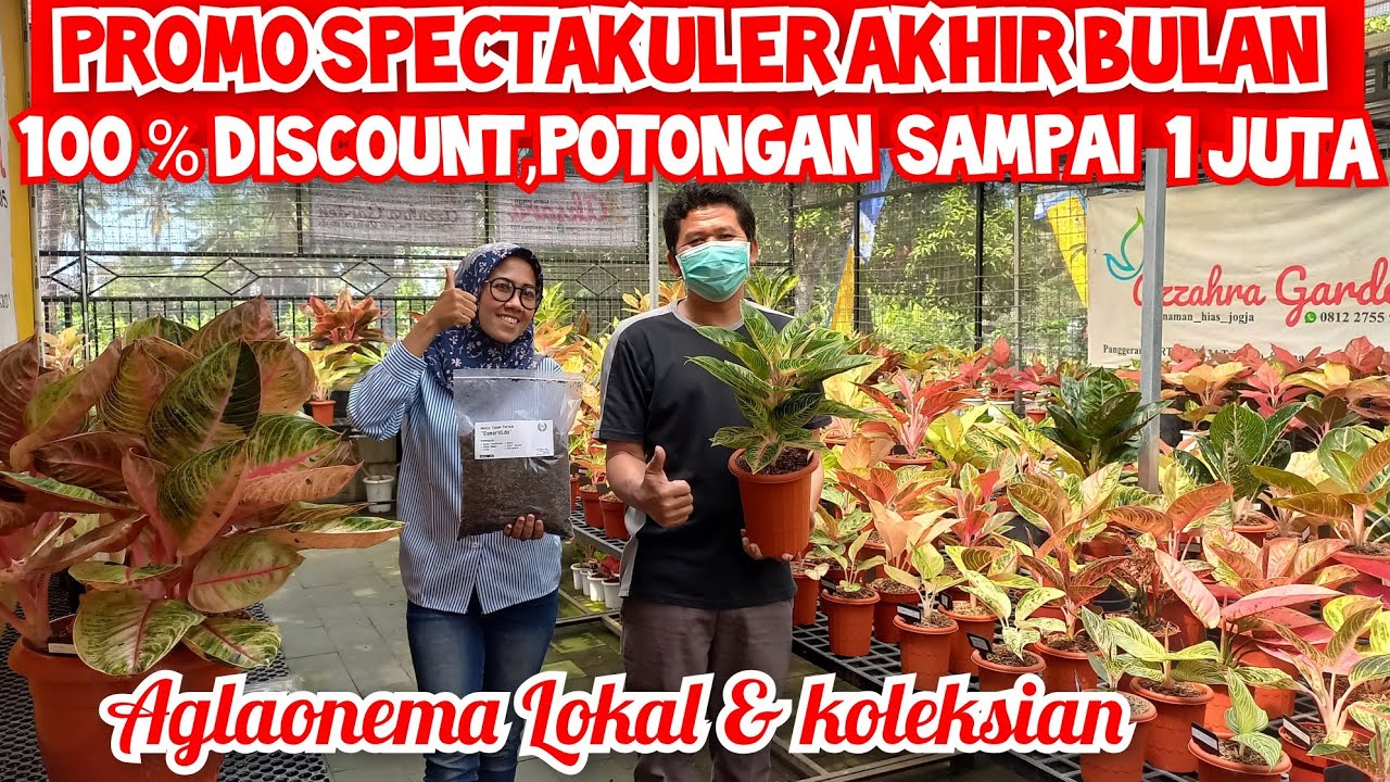 promo spectakuler akhir bulan| 100 % discount, potongan sampai 1jt ...