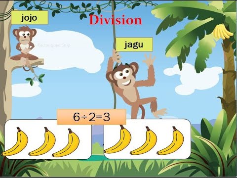 Basic Division / Division concept / Introduction to division for kids ...