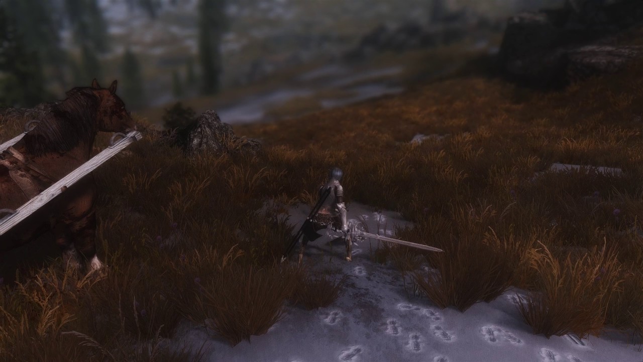 Elder Scrolls V Skyrim animation mod - YouTube