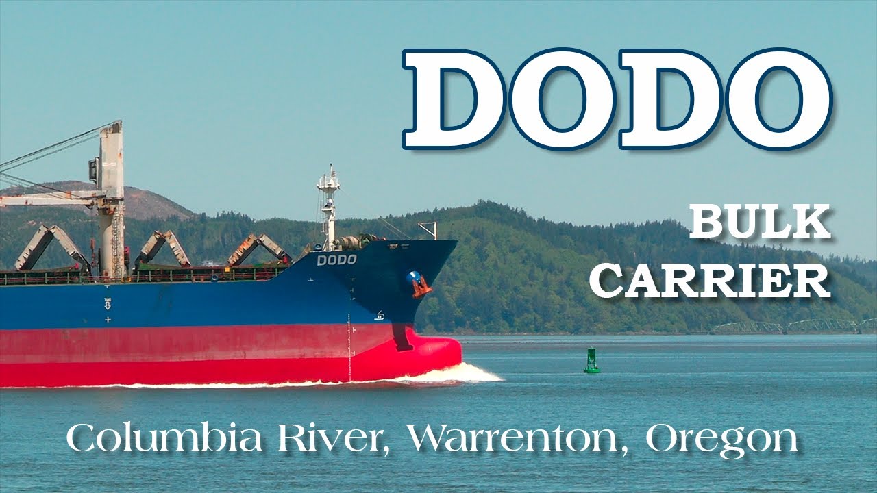 Bulk Carrier Dodo arrives Columbia River - YouTube