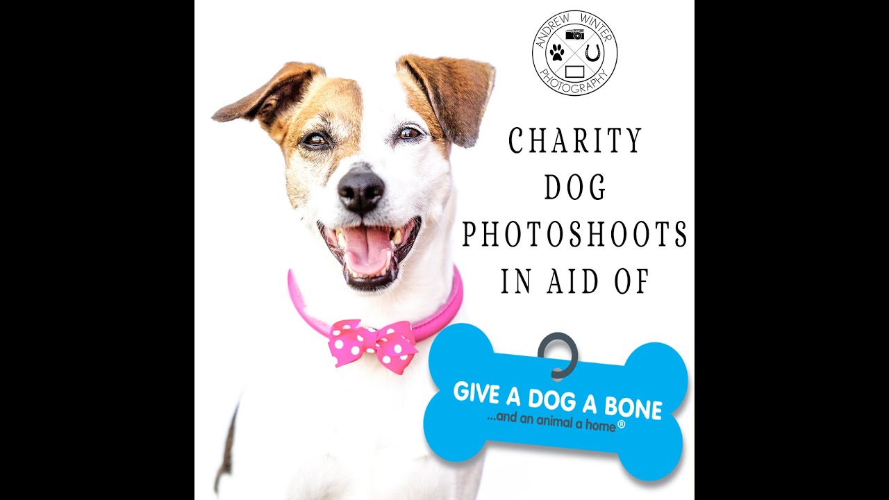 GADAB Charity Photoshoots - YouTube