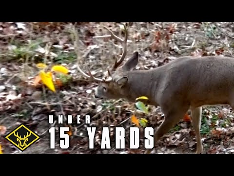 Calling Bucks UNDER 15 yards - YouTube