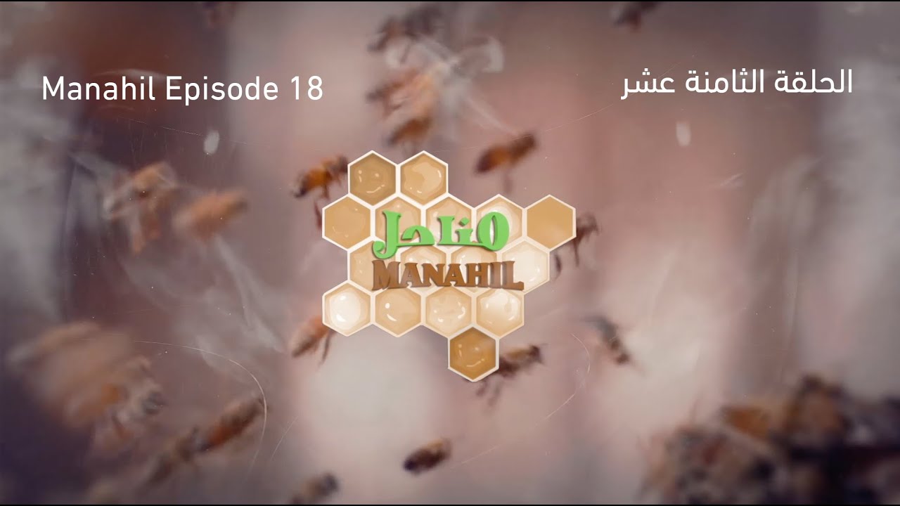 مناحل - Manahil Episode 18 - Organic honey production in Fujairah - YouTube