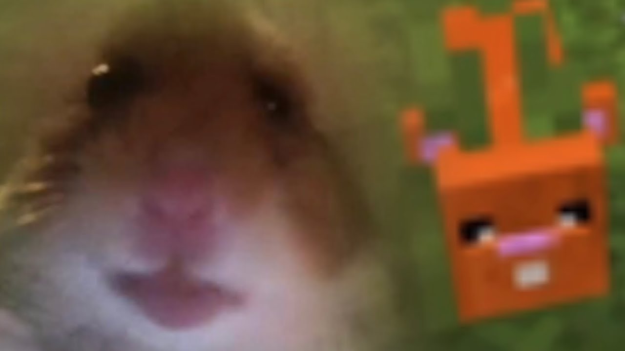 my new pet hamster in Minecraft - YouTube