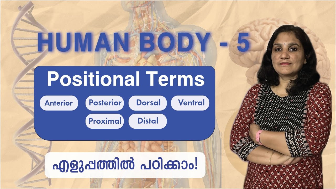 Human Body - 5 | Positional Terms | Malayalam - YouTube