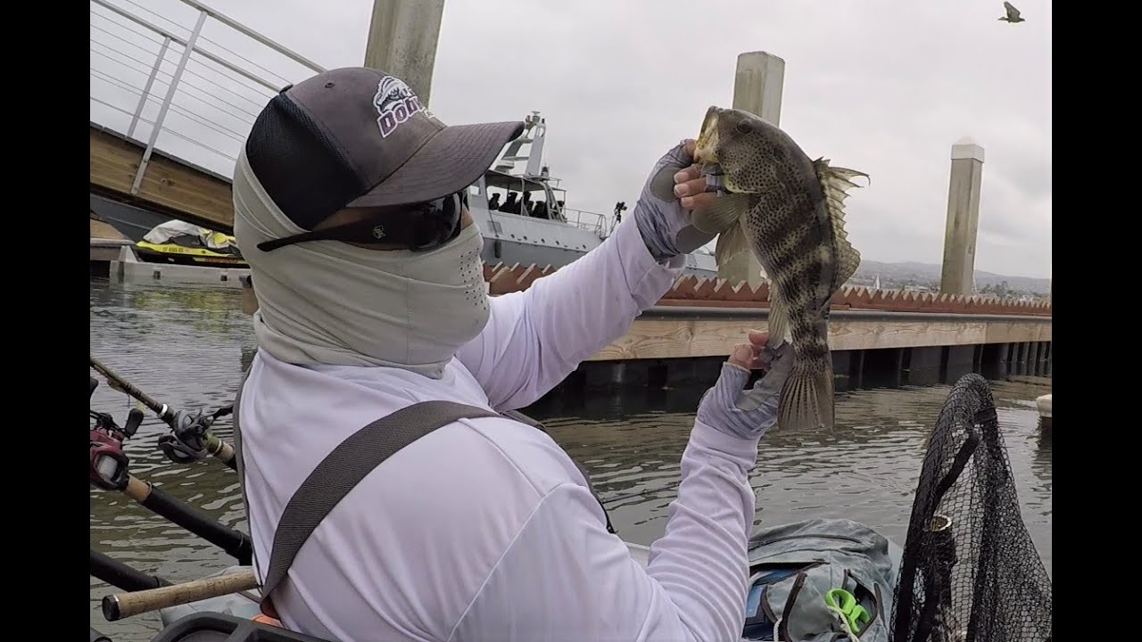 FLOAT TUBE FISHING SPOTTED BAY BASS - 6 LEGAL SPOTTIES - YouTube