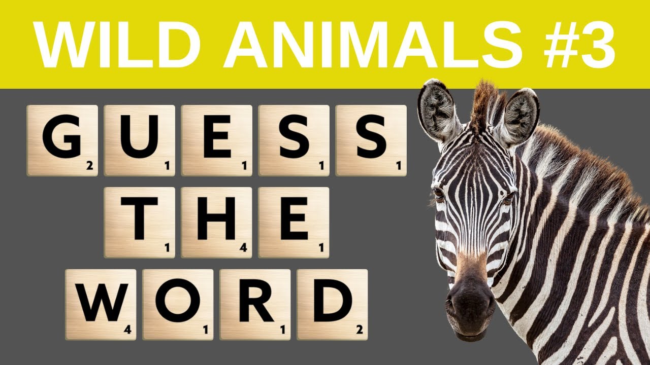 WORD SCRAMBLE PUZZLE - WILD ANIMALS Quiz #3: Jumbled Letter Game. - YouTube