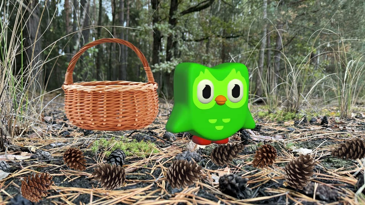 Mini Duolingo collects pine cones - YouTube