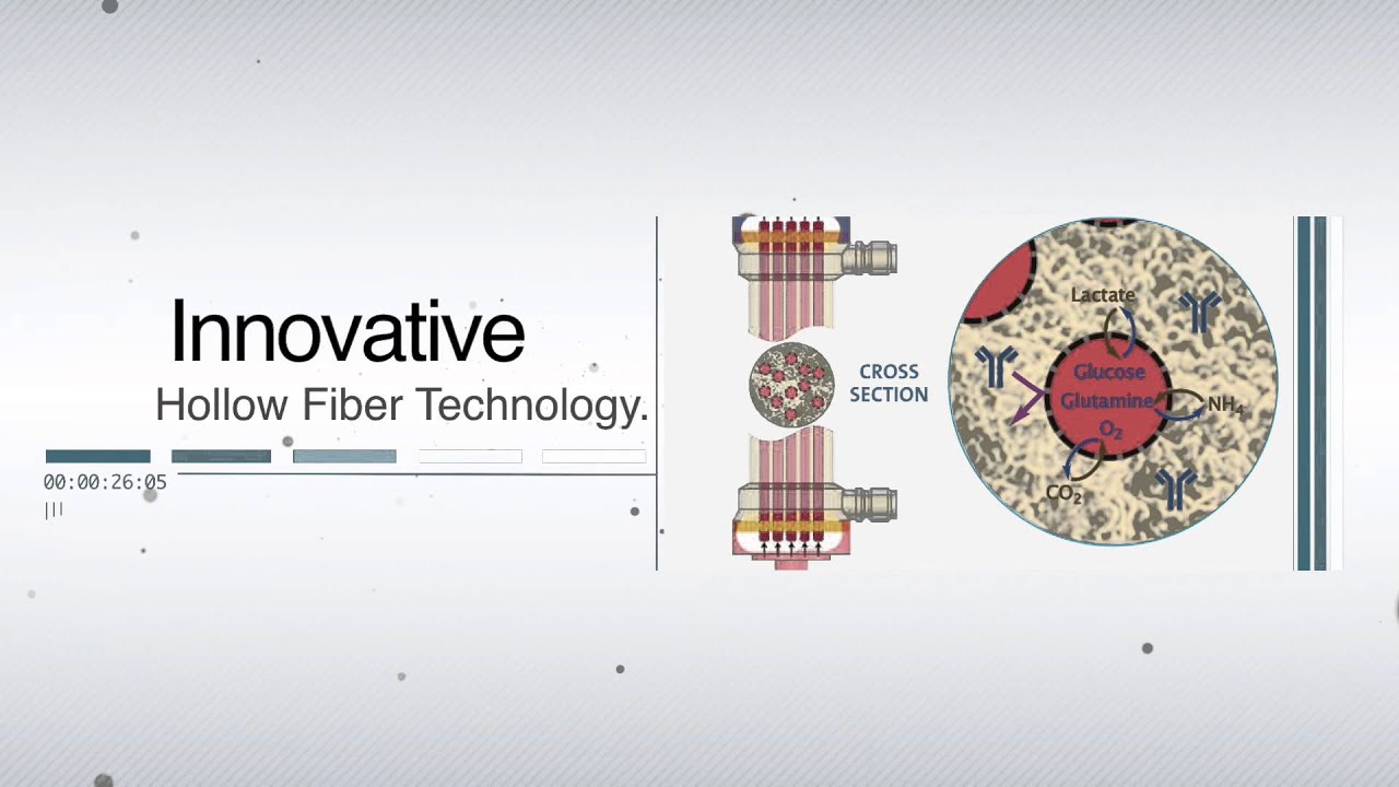 Biovest Hollow Fiber Technology Introduction - YouTube