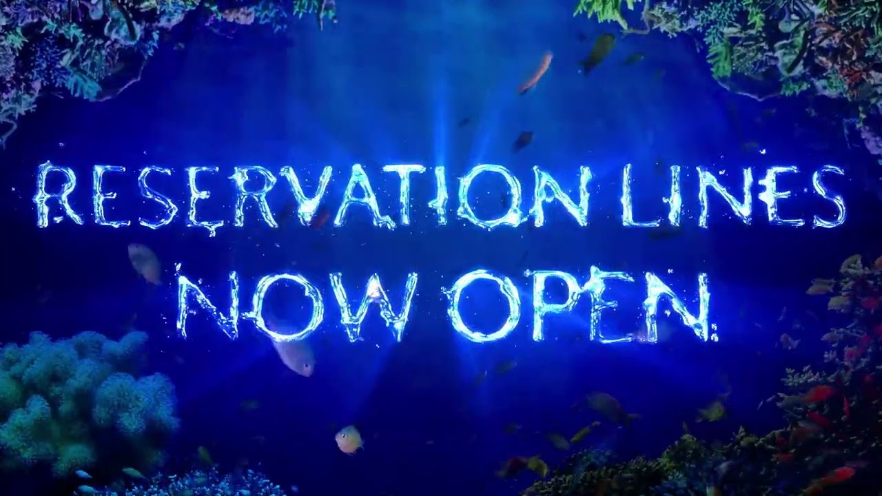 The wait is finally over - Reserve a table today - YouTube