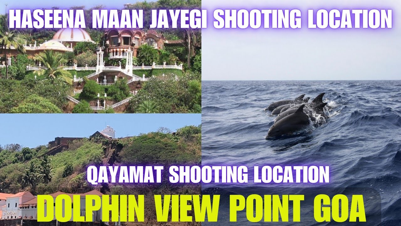 Dolphin view point goa near aguada fort By Adv. Ashok Kumar Singh ...