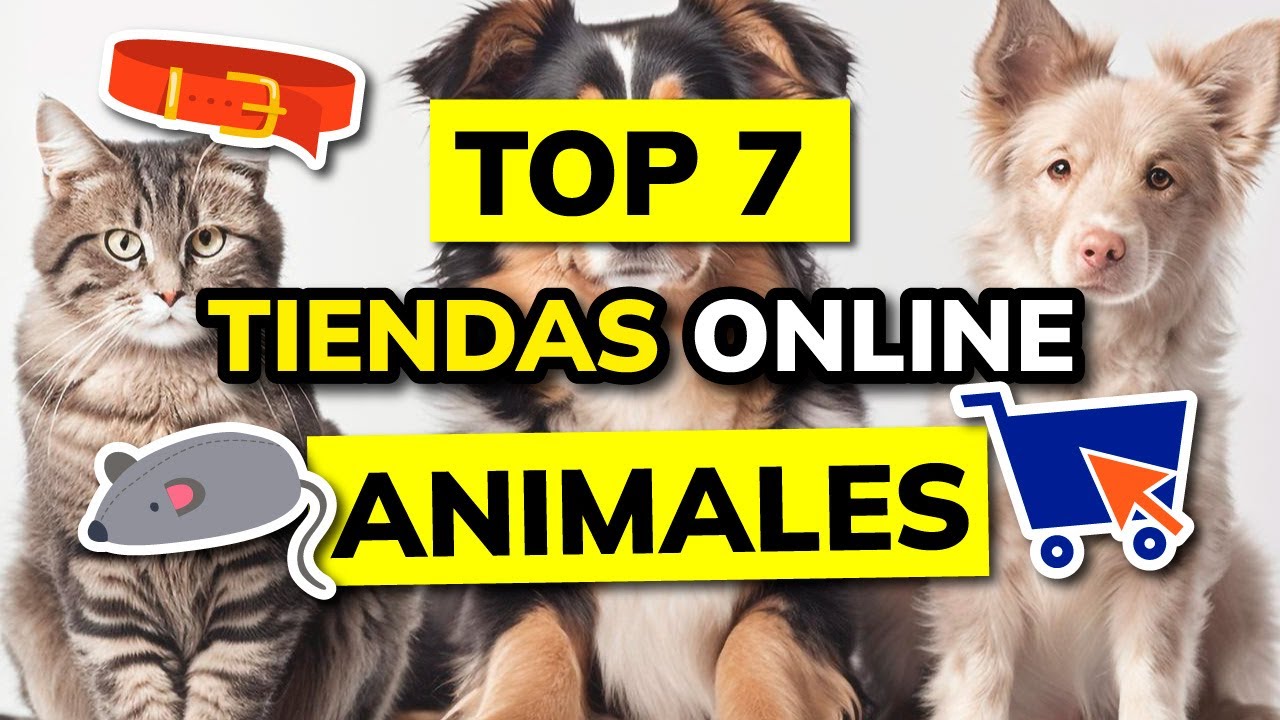 🥇 TOP 7 mejores Tiendas Online de ANIMALES (productos para animales) - YouTube