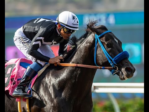 Hero Status Live in the Paddock