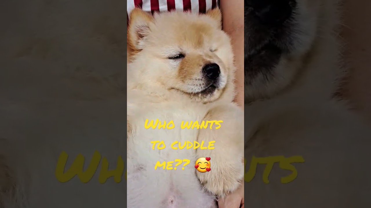 Mommy cuddle me please😘😍 - YouTube