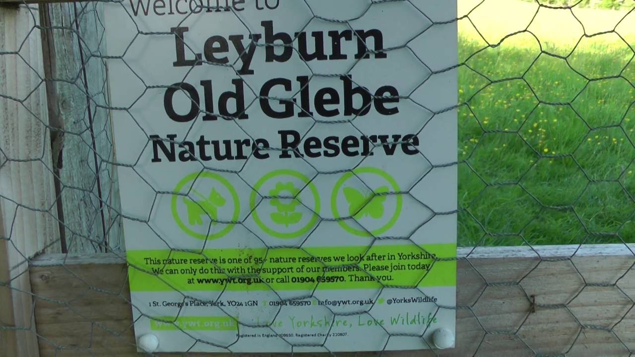 Leyburn Old Glebe nature reserve 2016 - YouTube