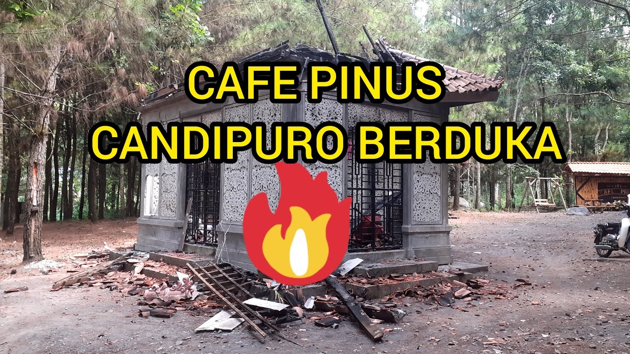 CAFE PINUS CANDIPURO KEBAKARAN - YouTube