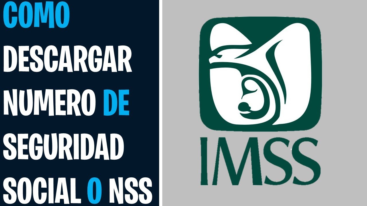 Consultar y Descargar Numero de Seguro Social (NSS) IMSS ...