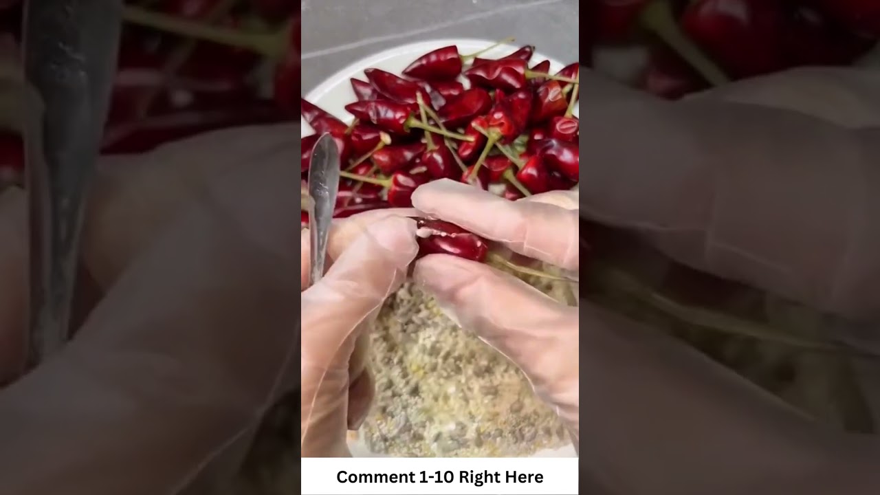 #cooking videos recipes - YouTube